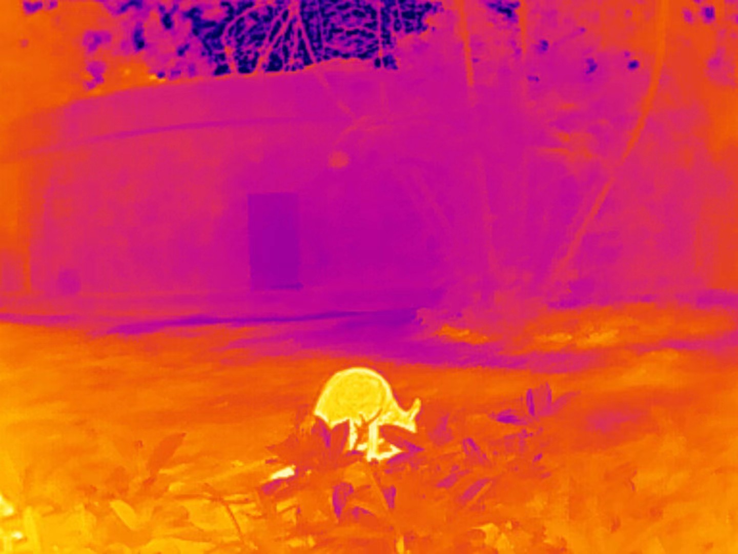 Application of thermal imaging technology in search and rescue